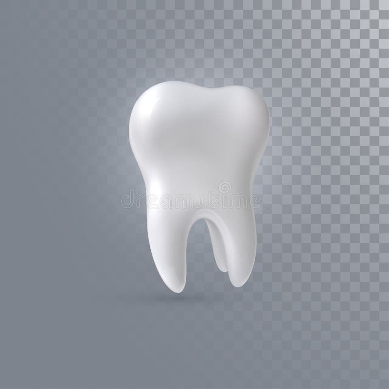Realistic 3d Tooth Isolated on Transparent Background Stock Vector ...
