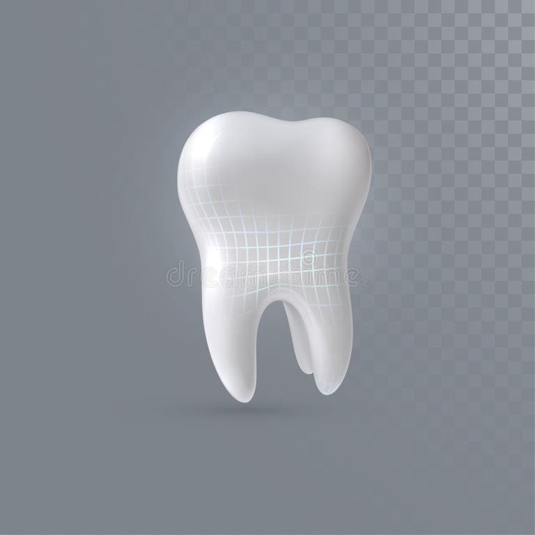 Wireframe Tooth Transparent Stock Illustrations – 13 Wireframe Tooth ...