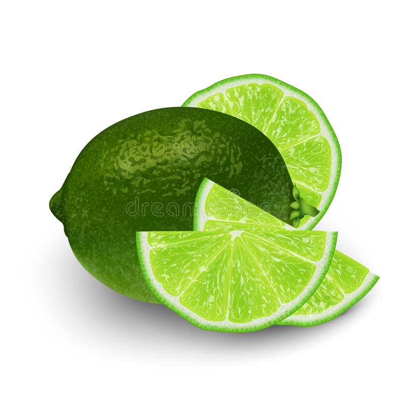 Lime Realistic Vector Stock Illustrations – 4,195 Lime Realistic Vector ...