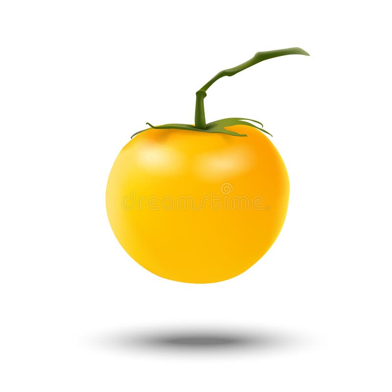 Yellow Tomato Stock Illustrations – 28,820 Yellow Tomato Stock ...