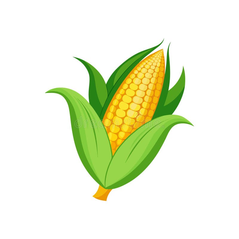 Realistic Delaware Sweet Corn Design with Rich Detail Stock Image ...
