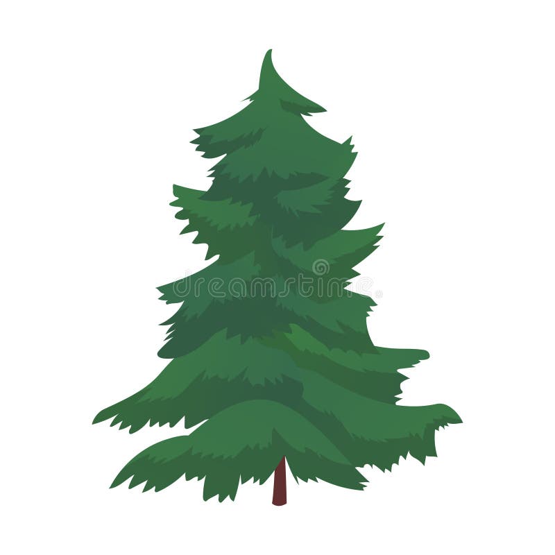 Realistic Dense Green Spruce Isolated on White Background - Vector ...