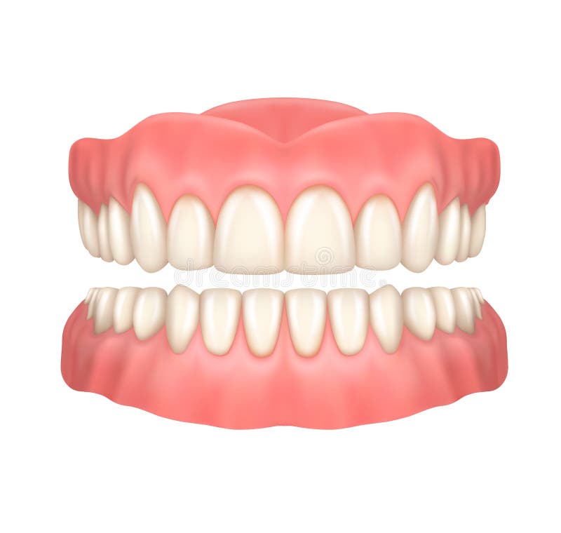 Teeth Arch Stock Illustrations – 171 Teeth Arch Stock Illustrations ...