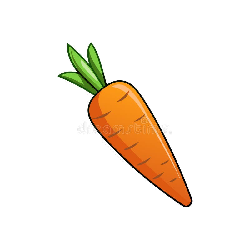 Realistic Carrot Design with Bright Orange Color Stock Image ...