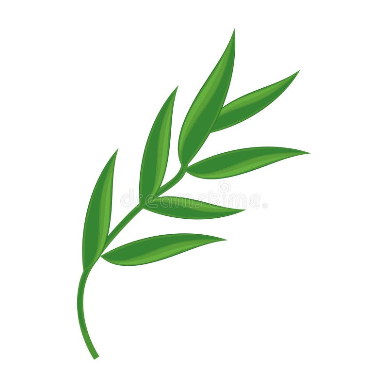 Realistic Detailed Branch of Leaves Vector Stock Vector - Illustration ...