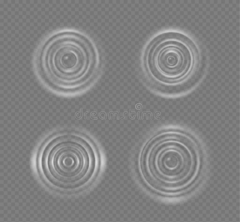 Realistic Detailed 3d Water Ripple Effects Set. Vector Stock Vector ...