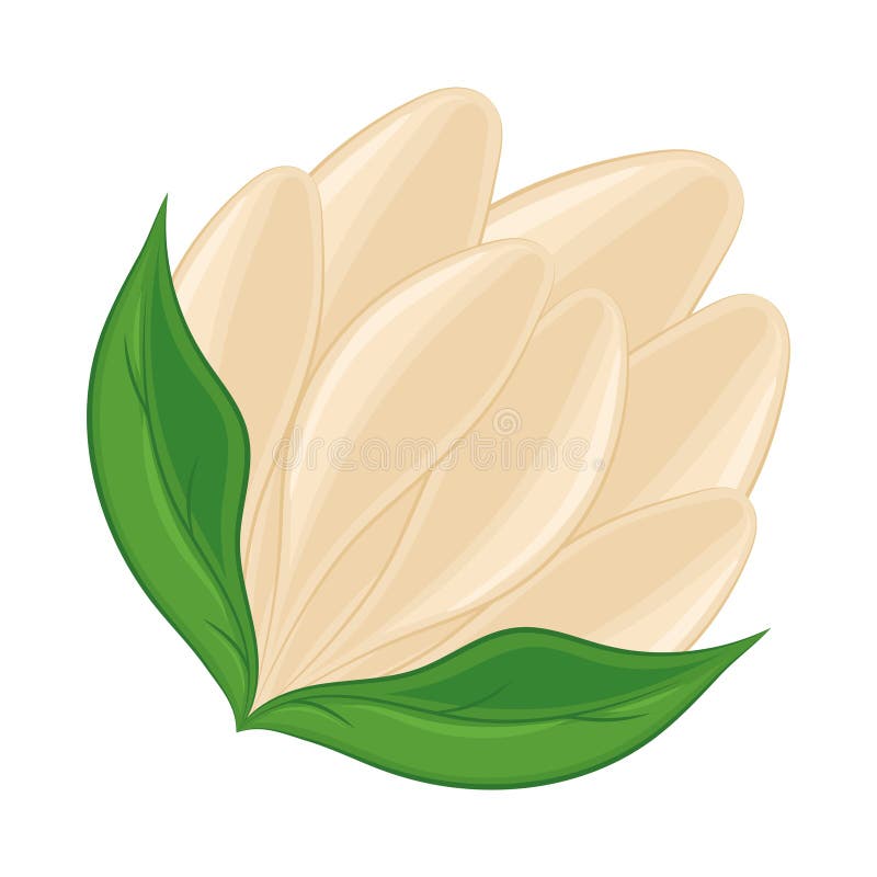 Realistic Detailed Flower Vector Stock Vector - Illustration of nature ...