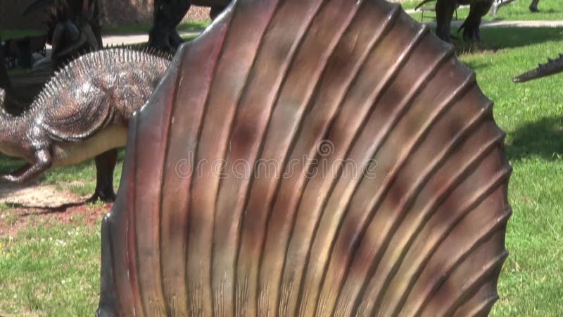 Realistic Dimetrodon Dinosaur in Dino Park Core on the Back Stock Video ...