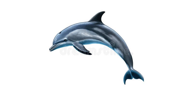 Realistic Dolphin Illustration with Smooth Features Isolated on ...