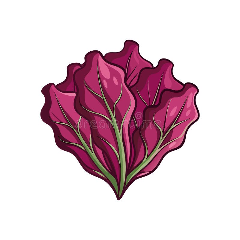 Dulse Ideal Stock Illustrations – 3 Dulse Ideal Stock Illustrations ...