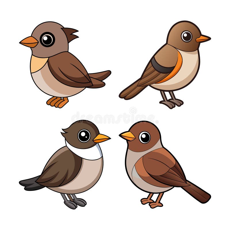 Realistic Eastern Phoebe Bird Illustration Stock Vector - Illustration ...