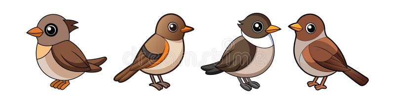 Realistic Eastern Phoebe Bird Illustration Stock Vector - Illustration ...