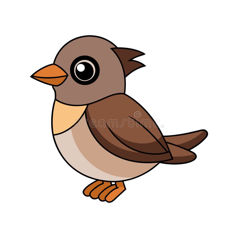 Realistic Eastern Phoebe Bird Illustration Stock Illustration ...