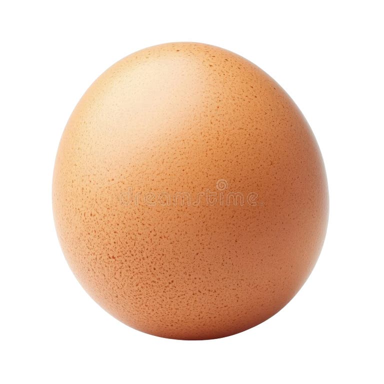 Realistic Egg with Shadow Isolated on Transparent Background Stock ...