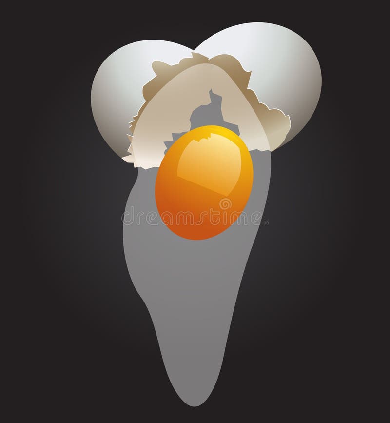 Realistic egg shell broken stock vector. Illustration of cracked - 55446877