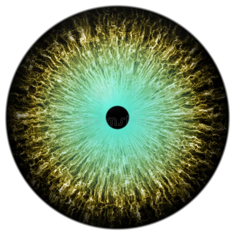 Realistic eye illustration stock illustration. Illustration of light ...