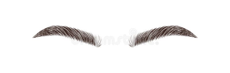 Realistic Eyebrows on White Background. Permanent Make-up and ...