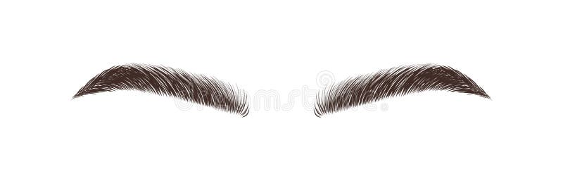 Microblading Vector Stock Illustrations – 505 Microblading Vector Stock ...