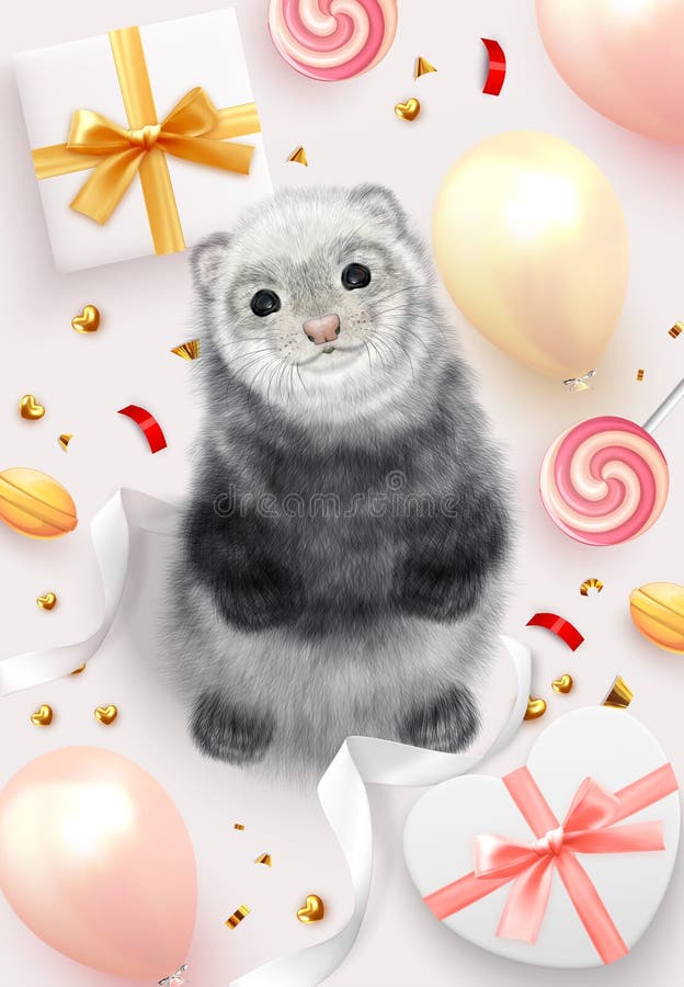 Realistic Ferret with Gift Boxes, Balloons and Sweets. Stock ...