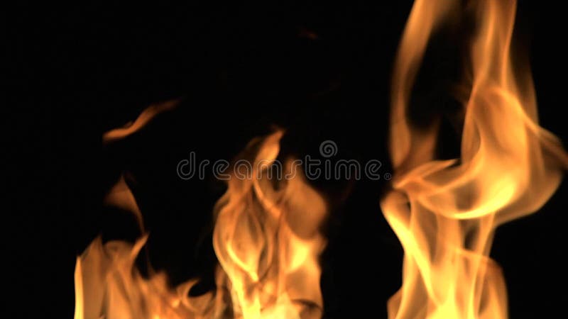 Realistic Fire Animation Ball Isolated Over Black Background in Full HD ...