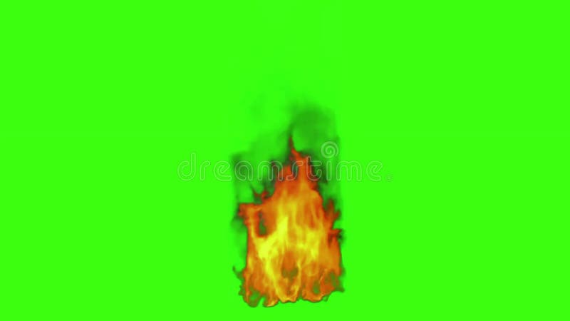 Realistic Fire Burning Rising on an Isolated Green Screen Background ...