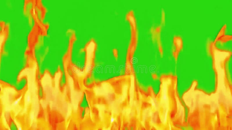 Realistic Fire Effect with Blazing Flames Rising on an Isolated Green ...