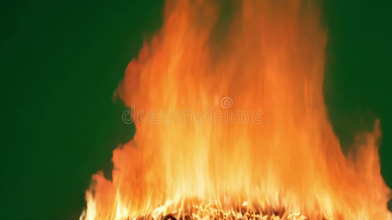 Realistic Fire Burning on Green Screen Background Stock Video - Video ...