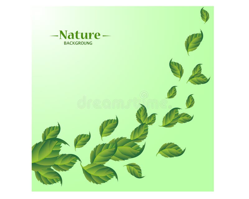 Fly Pattern Stock Illustrations – 158,336 Fly Pattern Stock ...