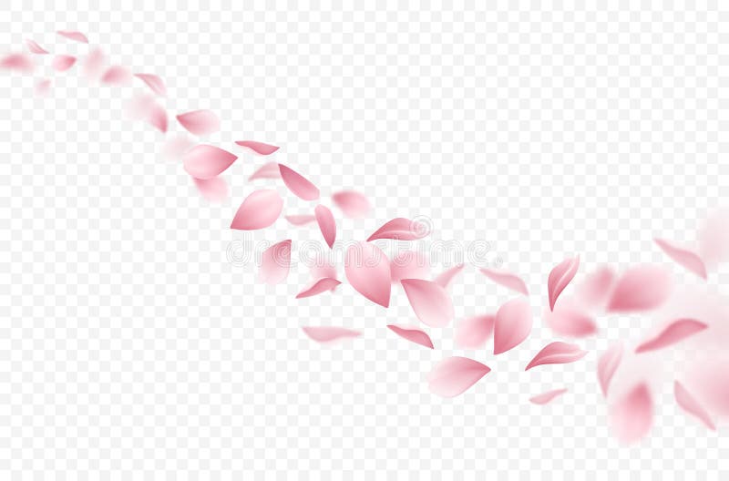 Sakura Realistic Background Stock Vector - Illustration of cover ...