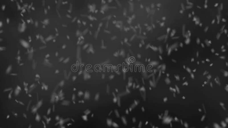 Blizzard Snow Fall Loop - Close-up Shot Pre-render Stock Footage ...