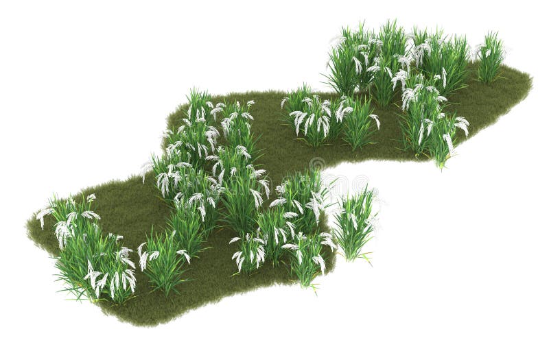 Realistic Foliage Isolated on Background. 3d Rendering - Illustration ...