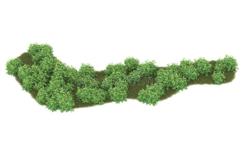 Realistic Foliage Isolated on Background. 3d Rendering - Illustration ...