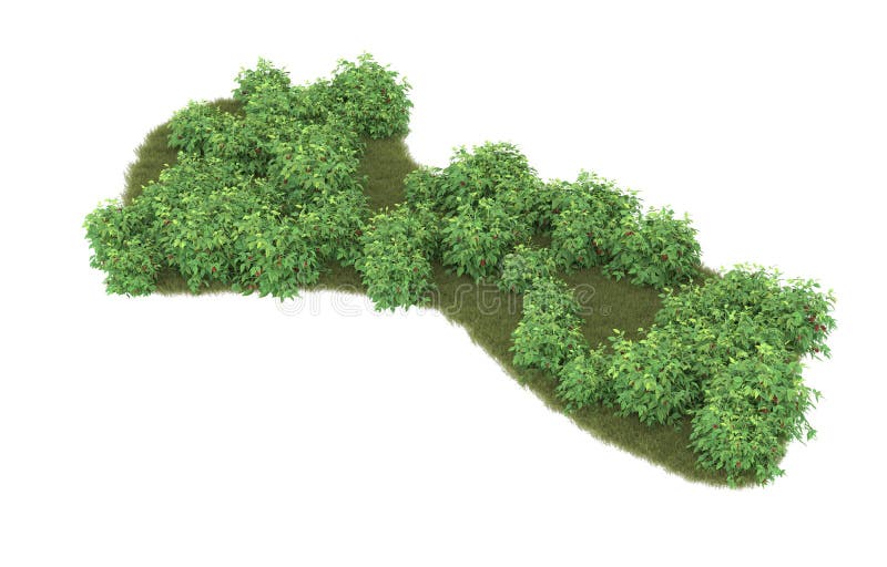 Realistic Foliage Isolated on Background. 3d Rendering - Illustration ...