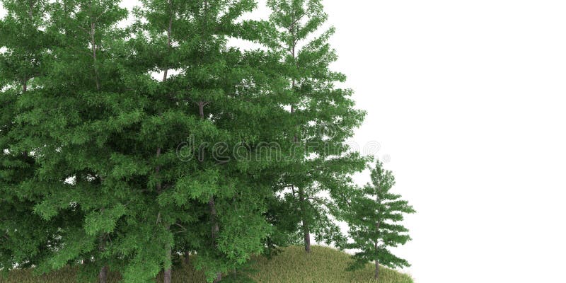 Realistic Forest Island on Transparent Background. 3d Rendering ...