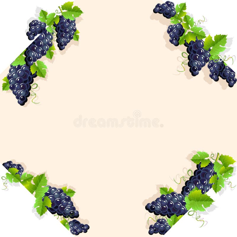 A Realistic Frame with Black Grapes Stock Vector - Illustration of ...