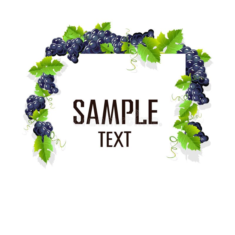 A Realistic Frame with Black Grapes Stock Vector - Illustration of ...