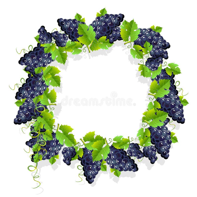 A Realistic Frame with Black Grapes Stock Vector - Illustration of ...