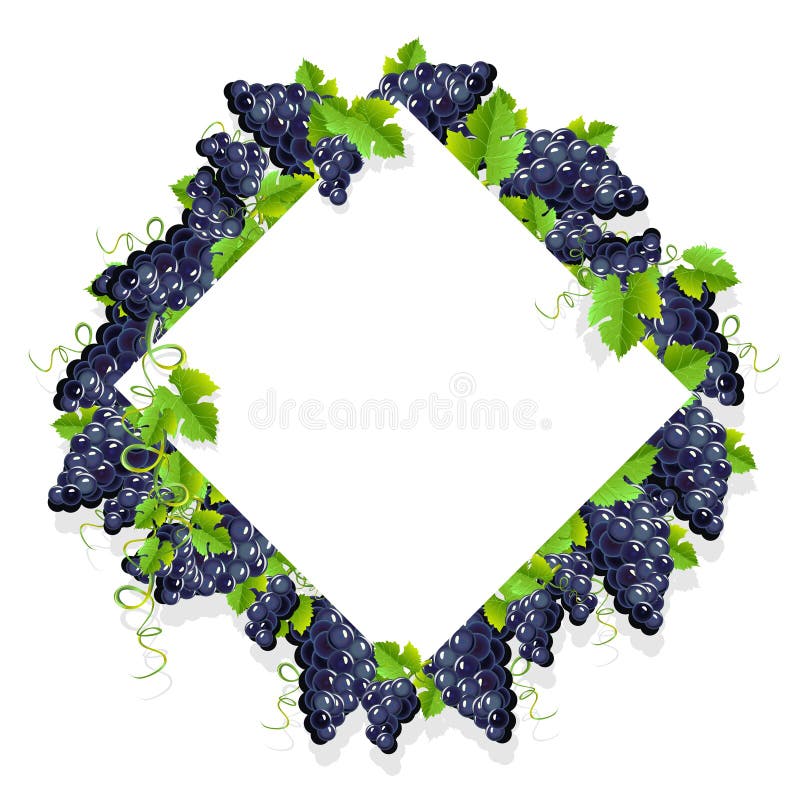 A Realistic Frame with Black Grapes Stock Vector - Illustration of ...