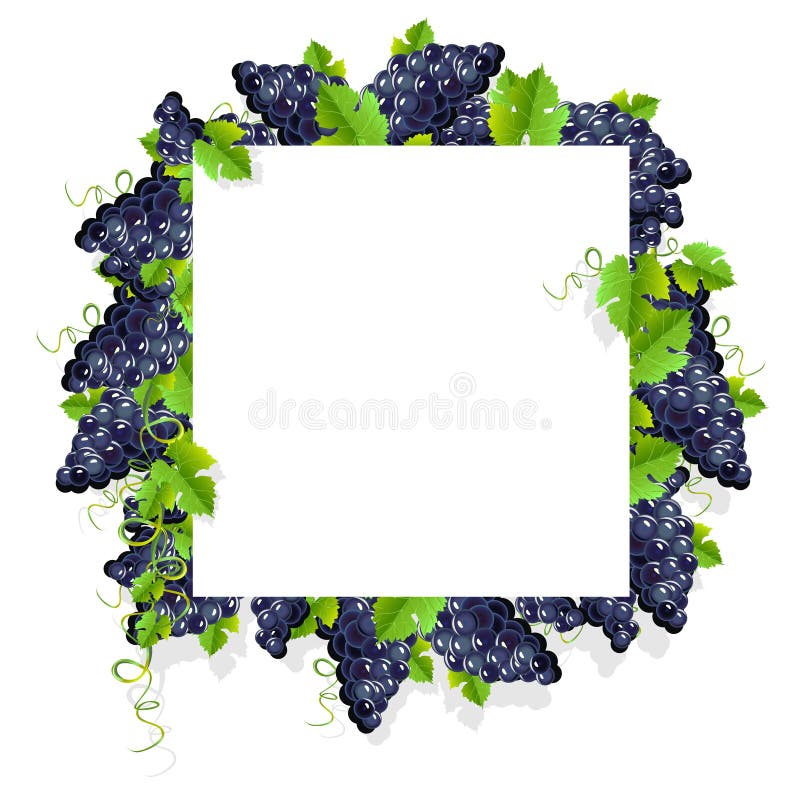 A Realistic Frame with Black Grapes Stock Vector - Illustration of ...