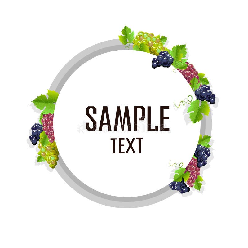 A Realistic Frame with Black Grapes Stock Vector - Illustration of ...