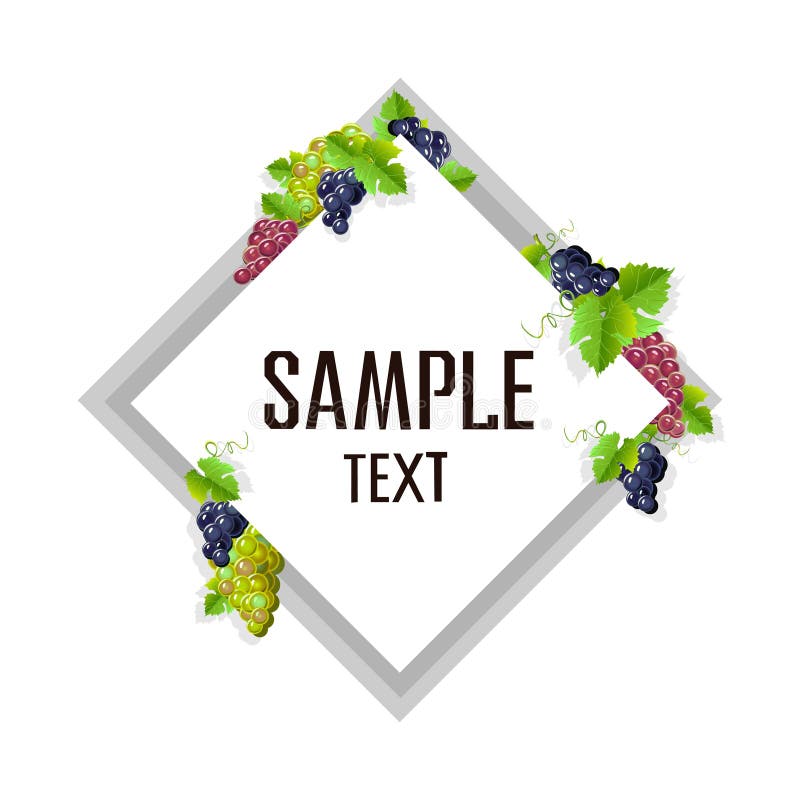 A Realistic Frame with Black Grapes Stock Vector - Illustration of ...