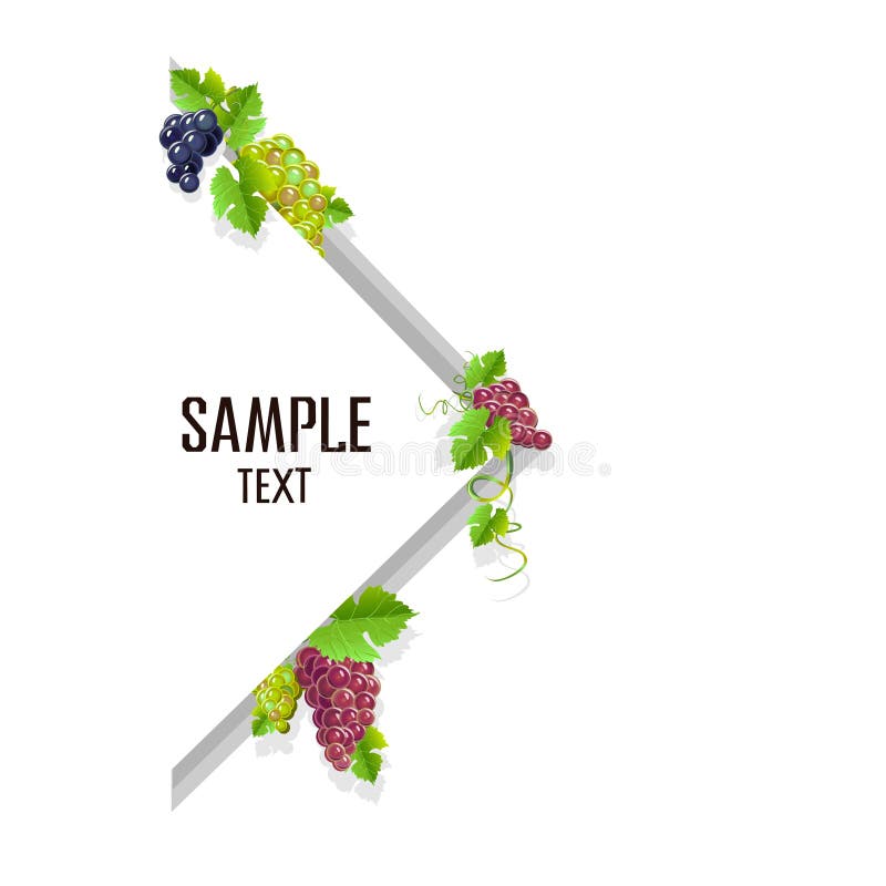 A Realistic Frame with Black Grapes Stock Vector - Illustration of ...