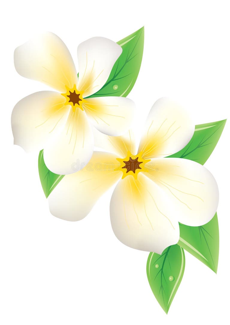 Pacific Flower Stock Illustrations – 2,594 Pacific Flower Stock ...