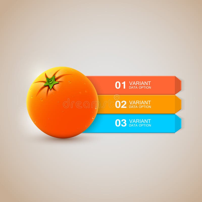 Realistic Fresh Orange Infographics Options. Stock Vector ...
