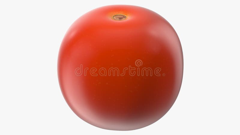 Realistic Fresh Tomato Fruit with Smooth Surface Stock Image - Image of ...