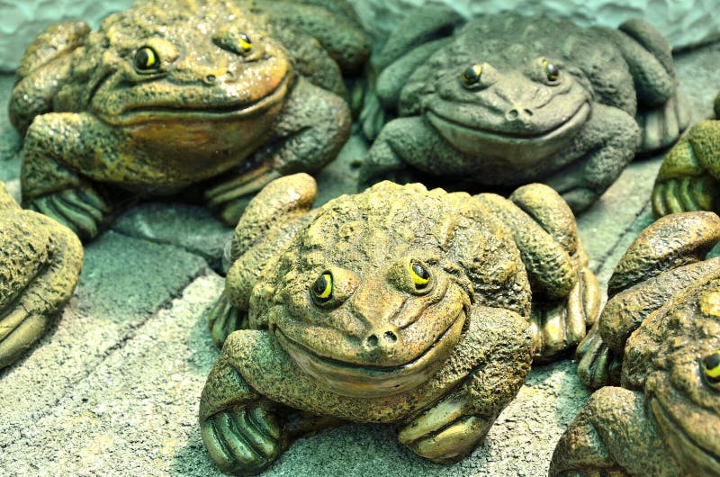 Realistic Frog Sculptures Stock Photos - Free & Royalty-Free Stock ...