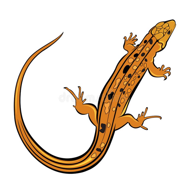 Gecko Leg Stock Illustrations – 149 Gecko Leg Stock Illustrations ...