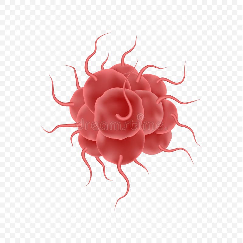 Realistic Germ. Microscopic Bacillus and Infection Cell, Colorful ...