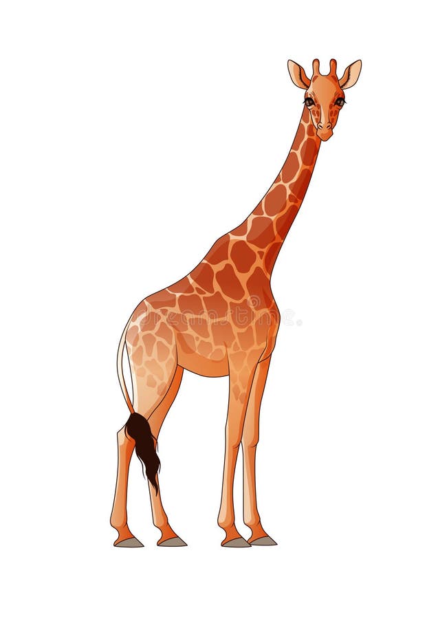 Realistic giraffe isolated stock vector. Illustration of brown - 66029815