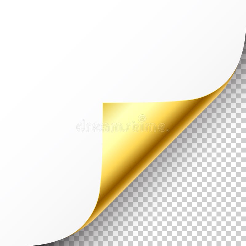 Golden Curled Paper Sheet Corner with Shadow. Stock Vector ...